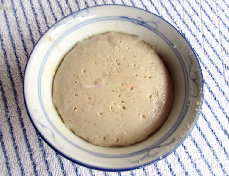 Paine de Casa cu Faina Neagra si Seminte ⋆ Retete Pentru O Viata