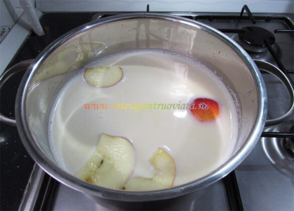 Lapte de Soia Facut in Casa ⋆ Retete Pentru O Viata