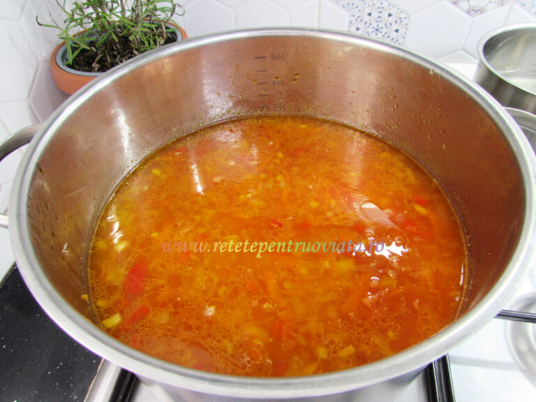 Ciorba de Curcan cu Bors si Zdrente de Ou ⋆ Retete Pentru O Viata