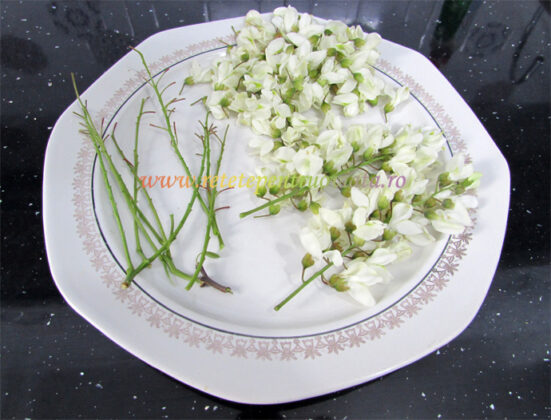 Dulceata din Flori de Salcam ⋆ Retete Pentru O Viata