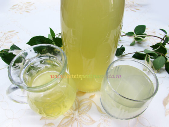 Sirop de Soc la Rece - Sirop din Flori de Soc pentru Iarna