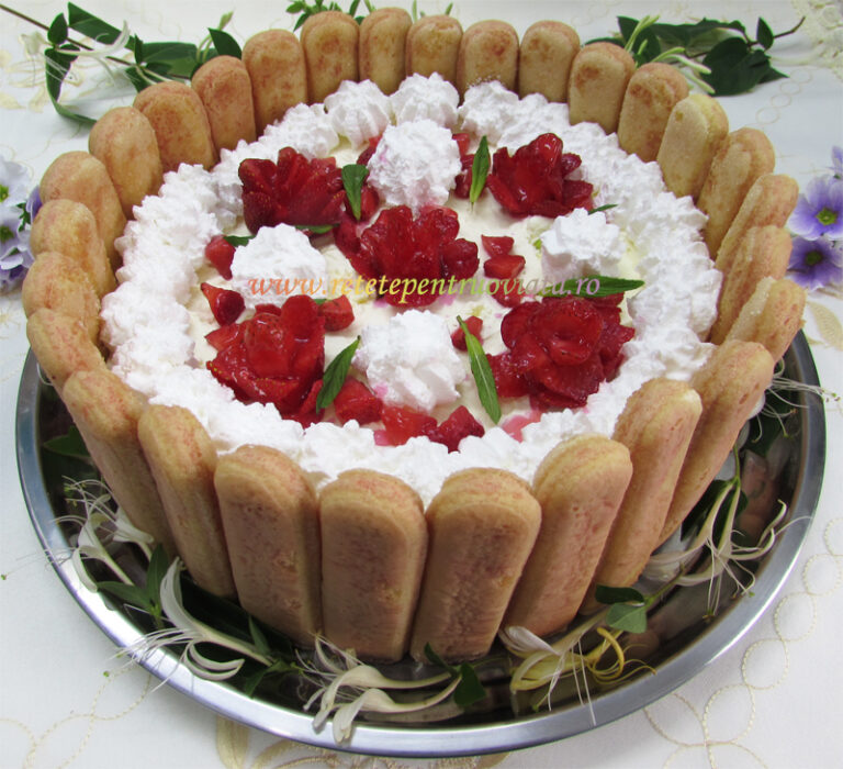 Parfait cu Iaurt, Capsuni si Biscuiti cu Ciocolata ⋆ Retete Pentru O Viata