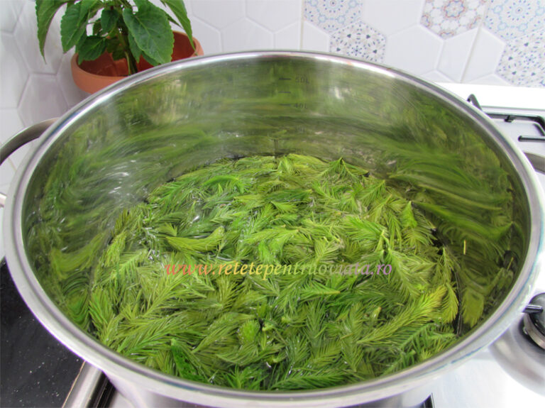 Sirop de Muguri de Brad - Sirop de Brad cu Lamaie