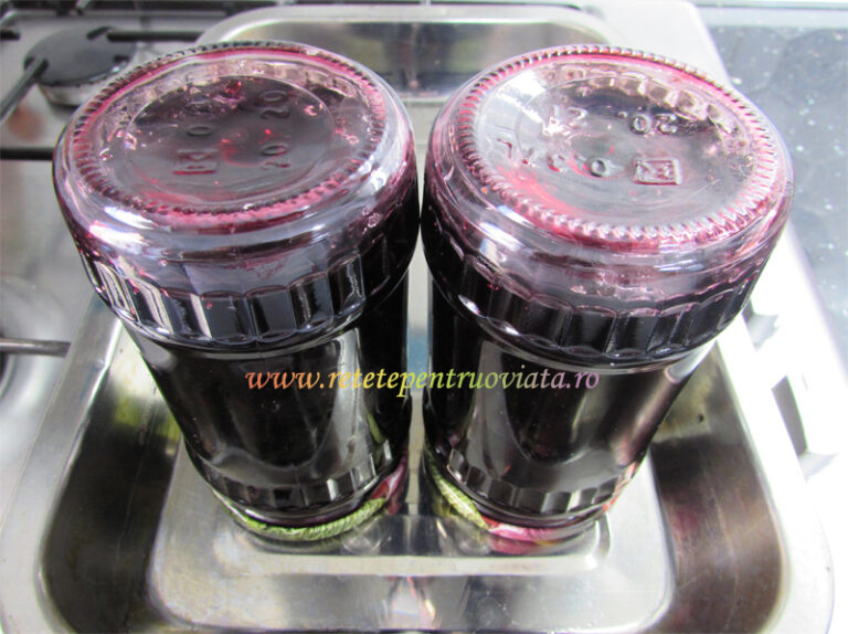 Dulceata de Cirese Amare fara Conservanti ⋆ Retete Pentru O Viata