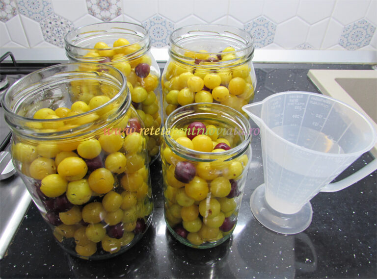 Compot de Corcoduse (Compot de Zarzare)