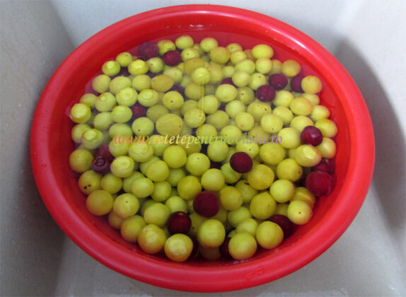 Compot de Corcoduse (Compot de Zarzare)