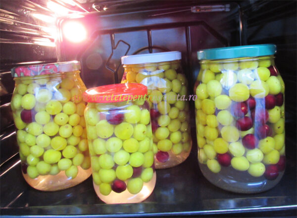 Compot de Corcoduse (Compot de Zarzare)