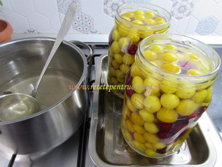 Compot de Corcoduse (Compot de Zarzare)