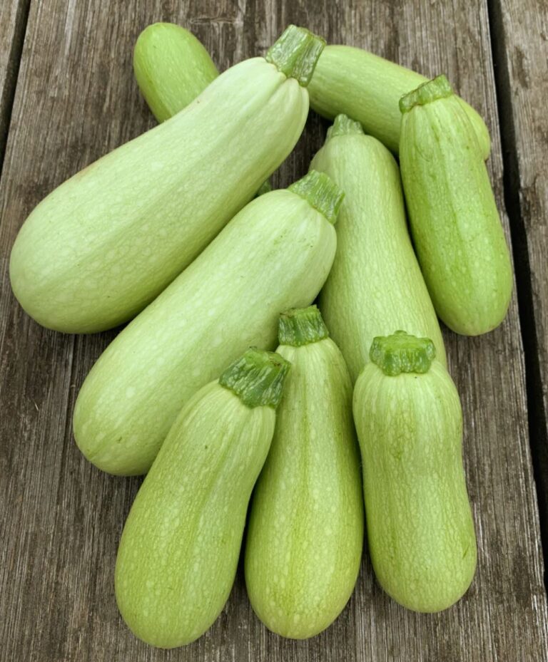 Salata de Dovlecei cu Maioneza, Iaurt si Usturoi Reteta Pas cu Pas